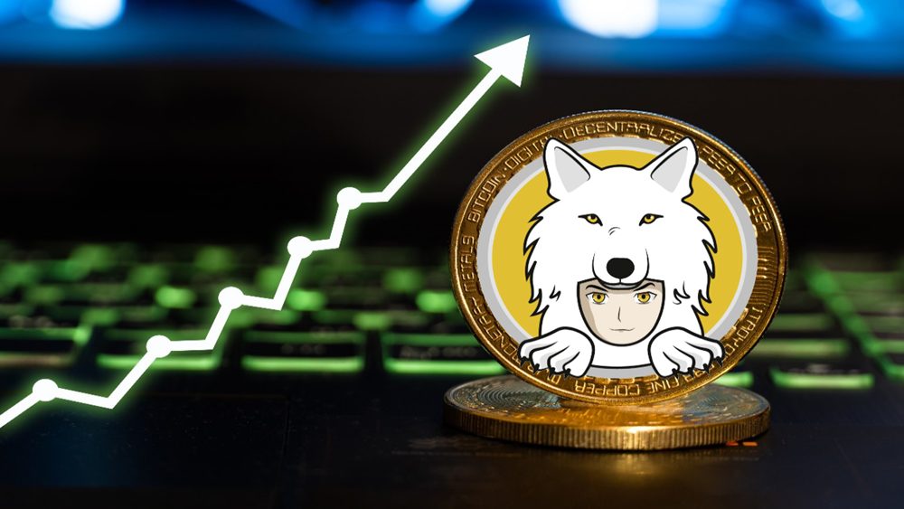 Saitama Inu (SAITAMA) token là gì? Thông tin dự án SAITAMA coin